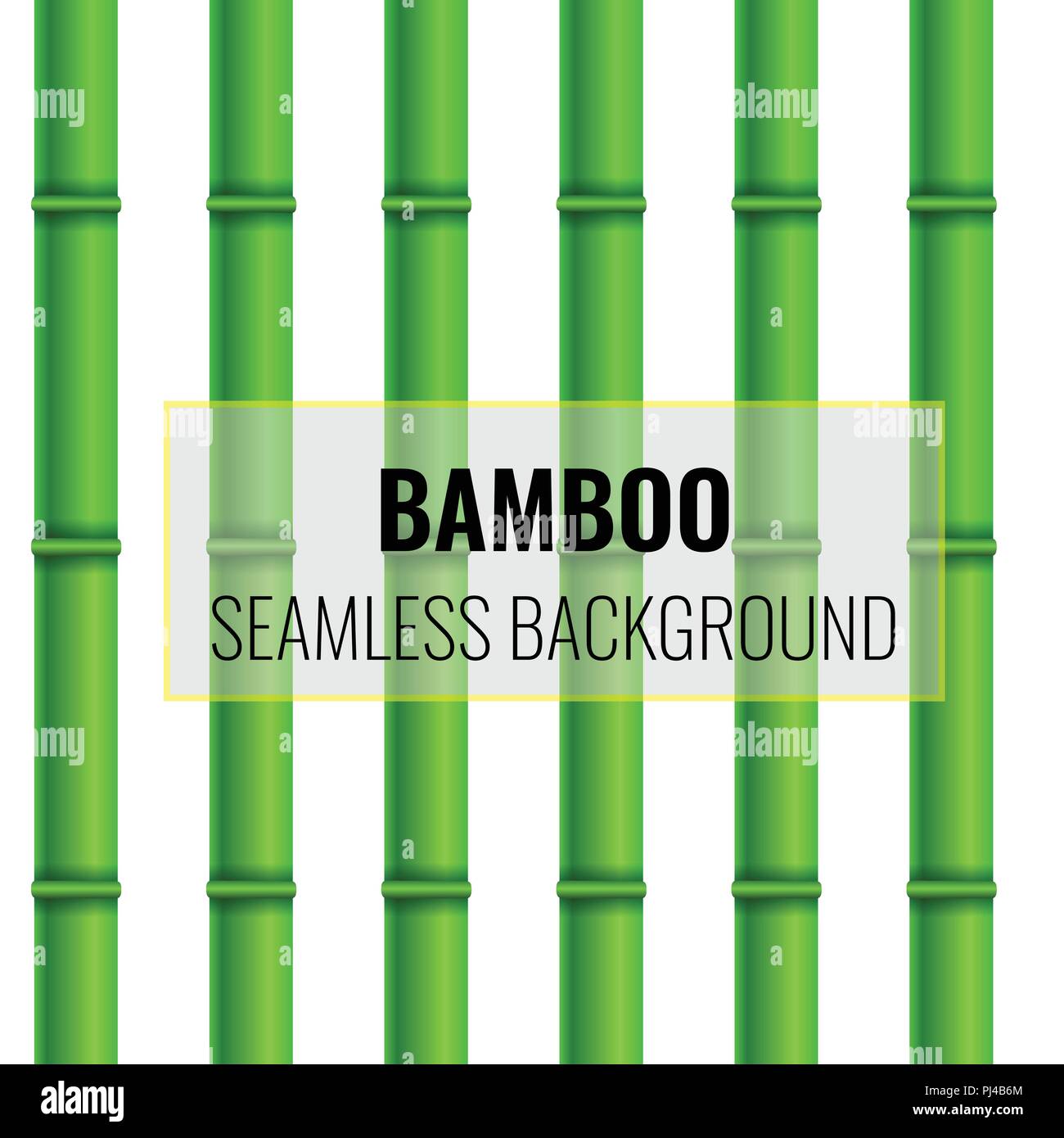 Bamboo Seamless background pattern. Realistic Vector illustration Stock ...