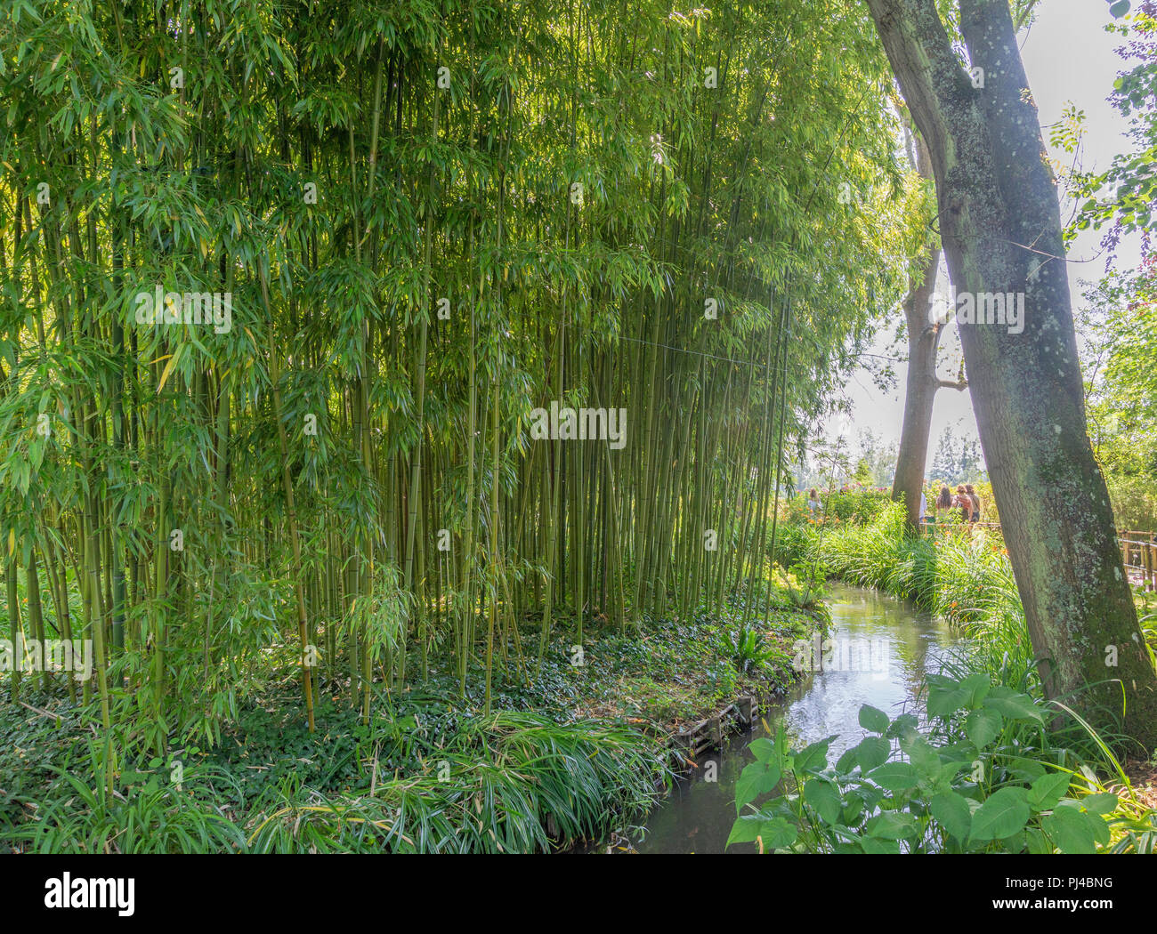 Peaceful places hi-res stock photography and images - Alamy