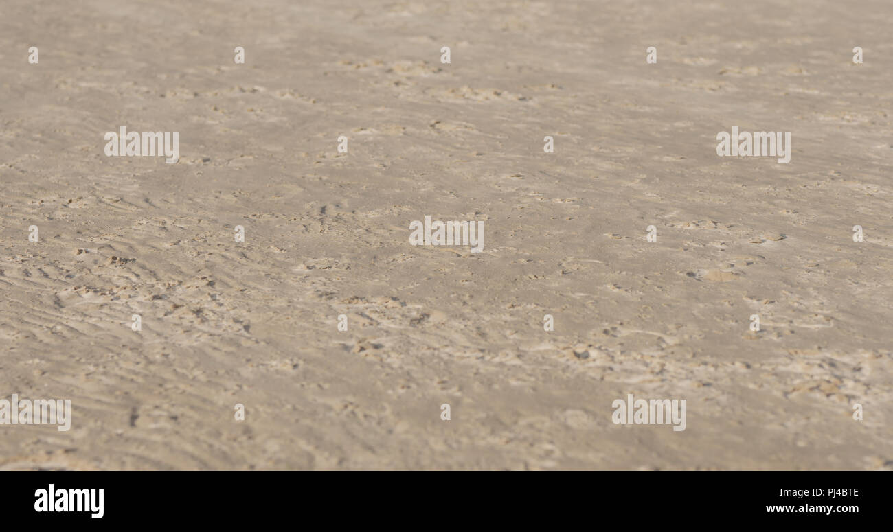 wind blows sand on a beach at midday Stock Photo - Alamy