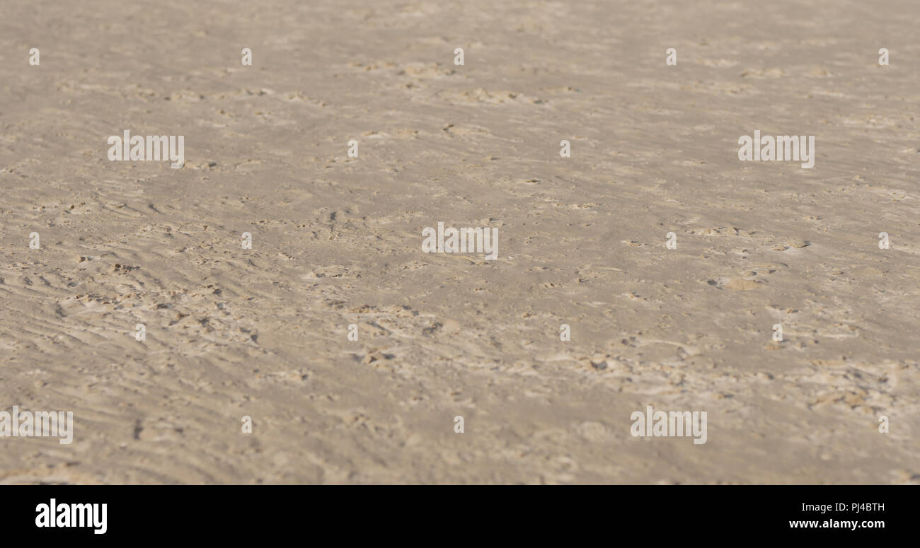 Wind dust on beach hi-res stock photography and images - Alamy