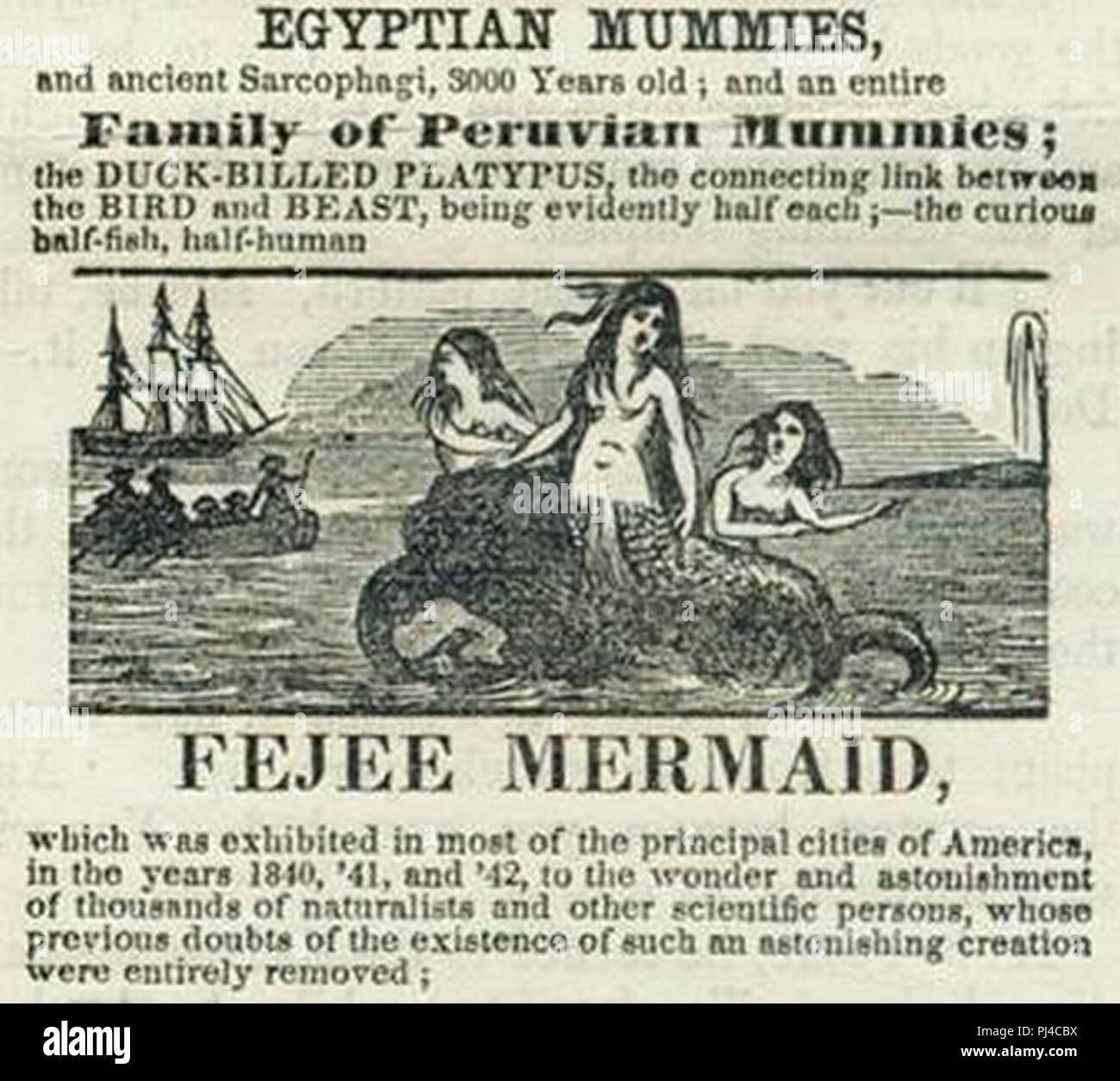 Barnum mermaid hi-res stock photography and images - Alamy