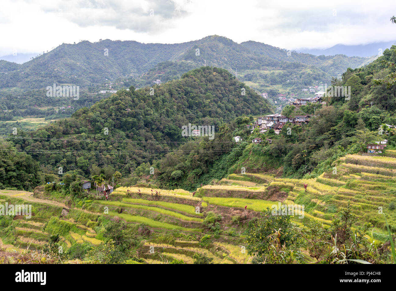 Beautiful landscape at Banaue rice terrace, Philippines Stock Photo - Alamy