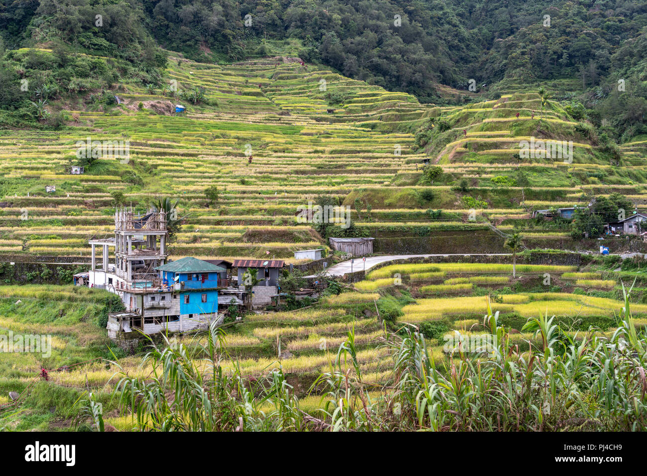 Beautiful landscape at Banaue rice terrace, Philippines Stock Photo - Alamy