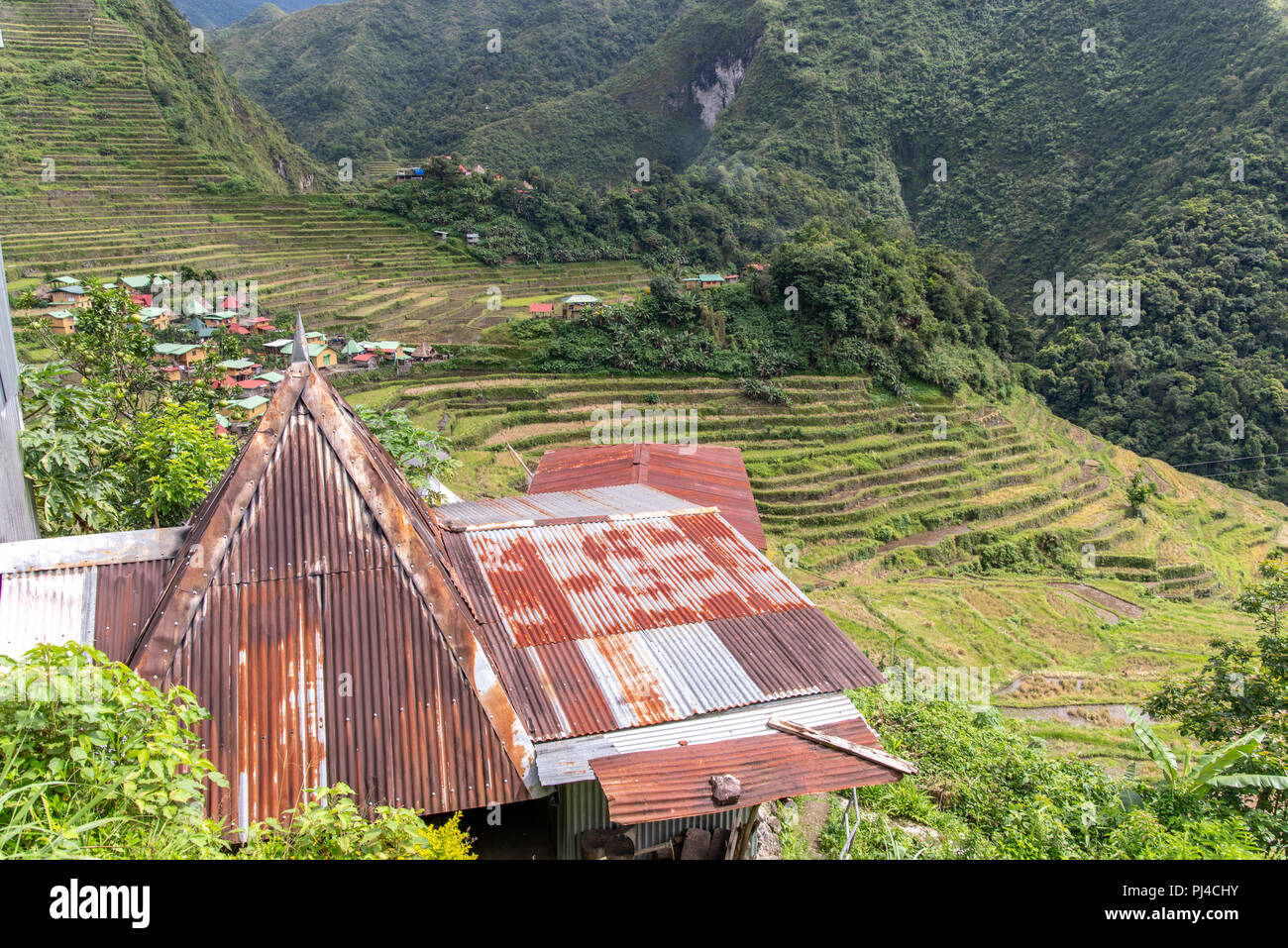 Beautiful landscape at Banaue rice terrace, Philippines Stock Photo - Alamy