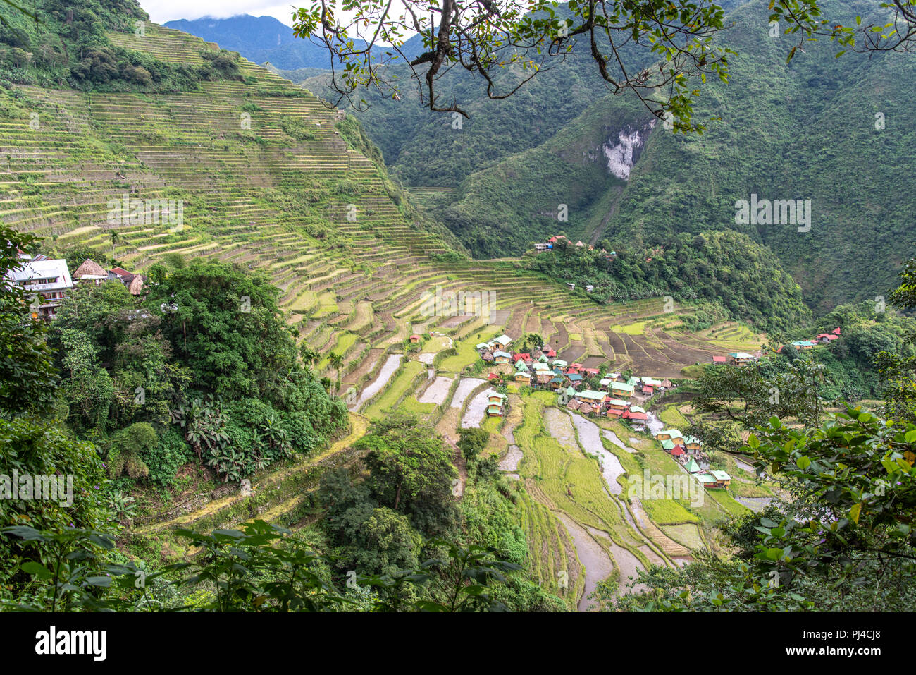 Banaue rice terrace hi-res stock photography and images - Alamy