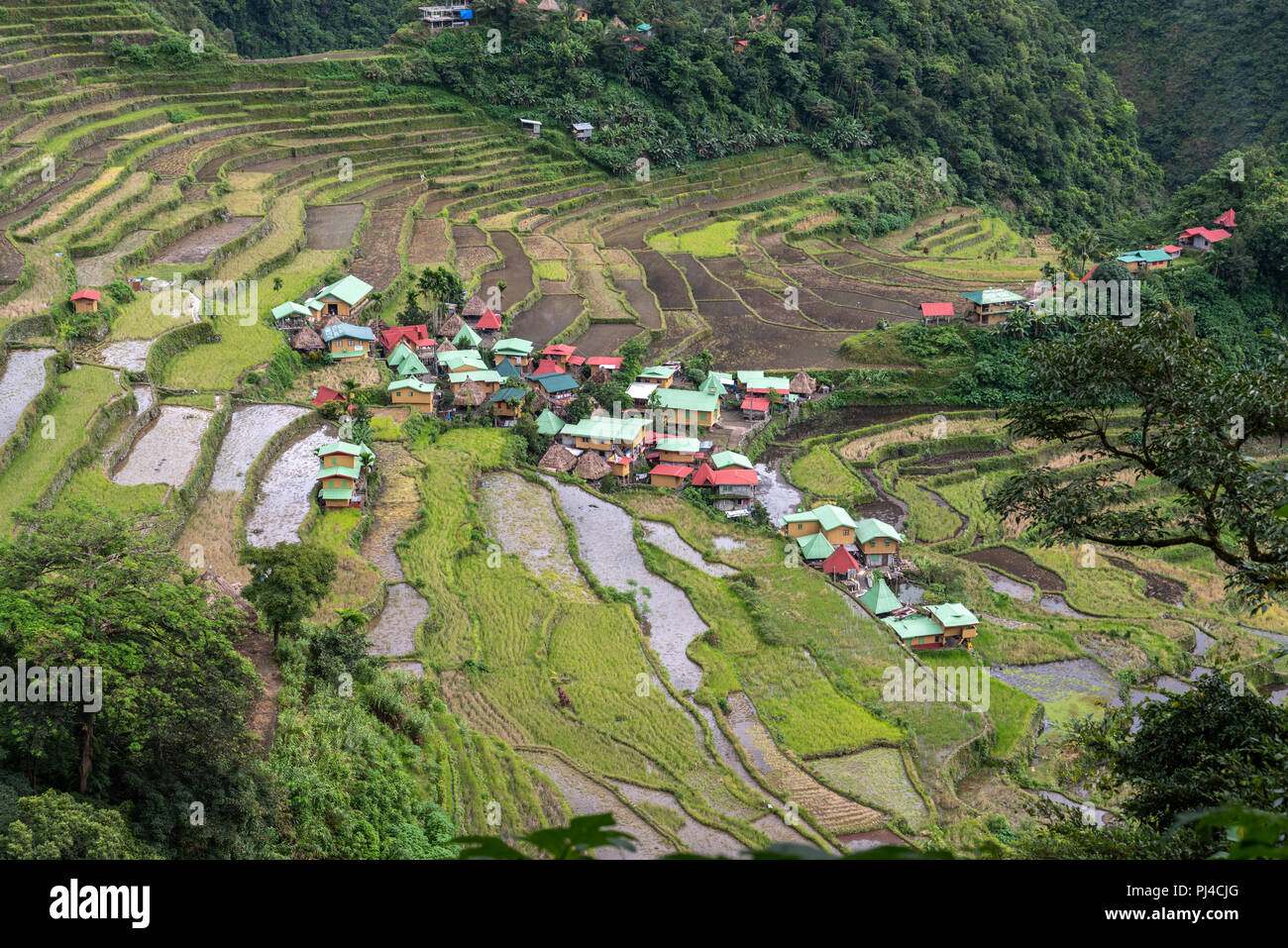 Beautiful landscape at Banaue rice terrace, Philippines Stock Photo - Alamy