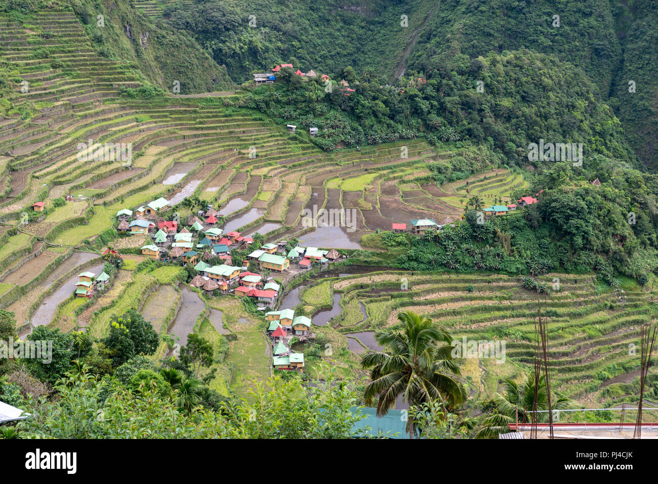 Beautiful landscape at Banaue rice terrace, Philippines Stock Photo - Alamy