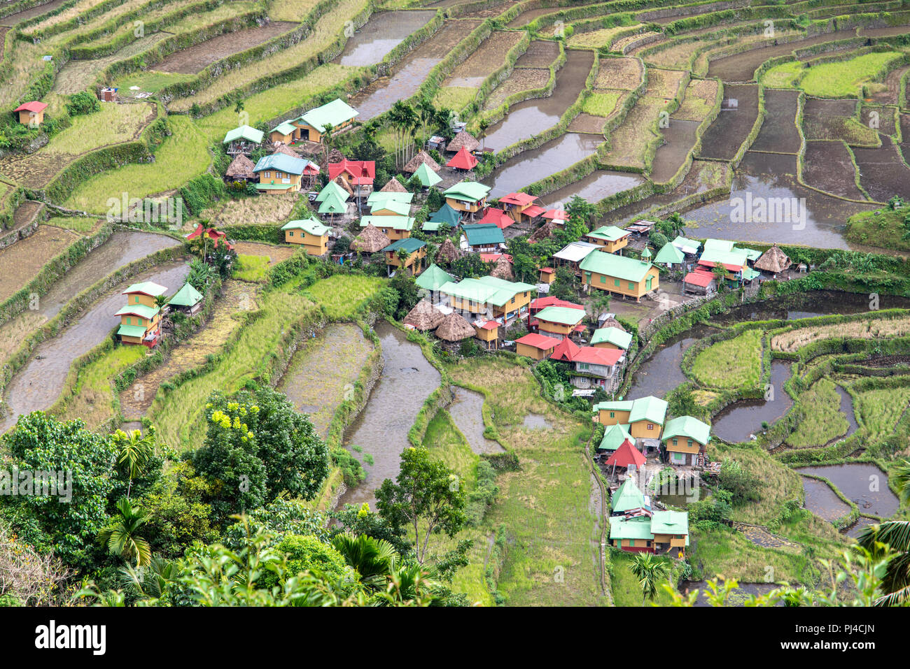 Beautiful landscape at Banaue rice terrace, Philippines Stock Photo - Alamy