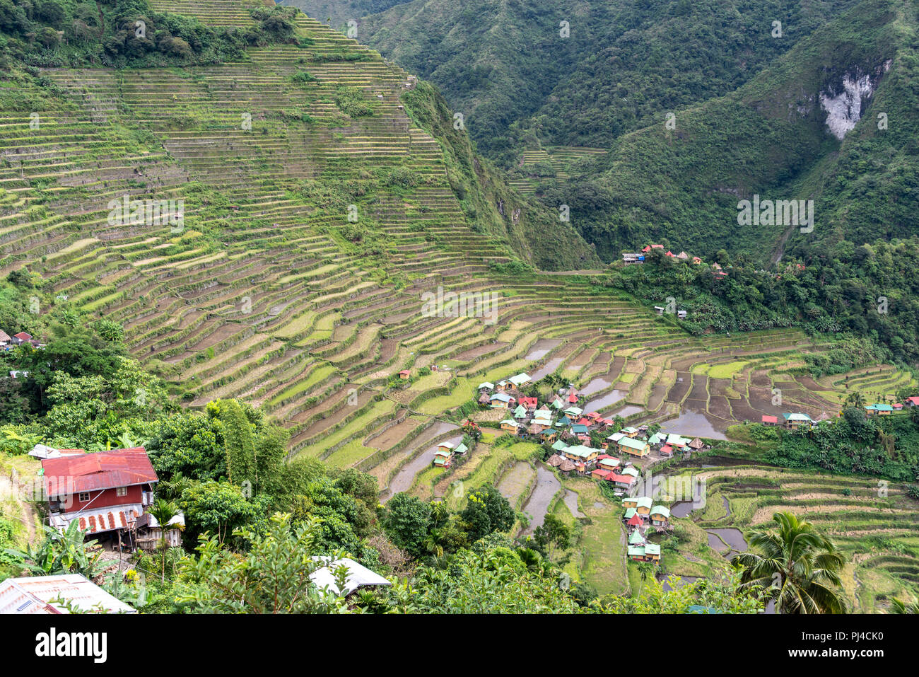 Beautiful landscape at Banaue rice terrace, Philippines Stock Photo - Alamy