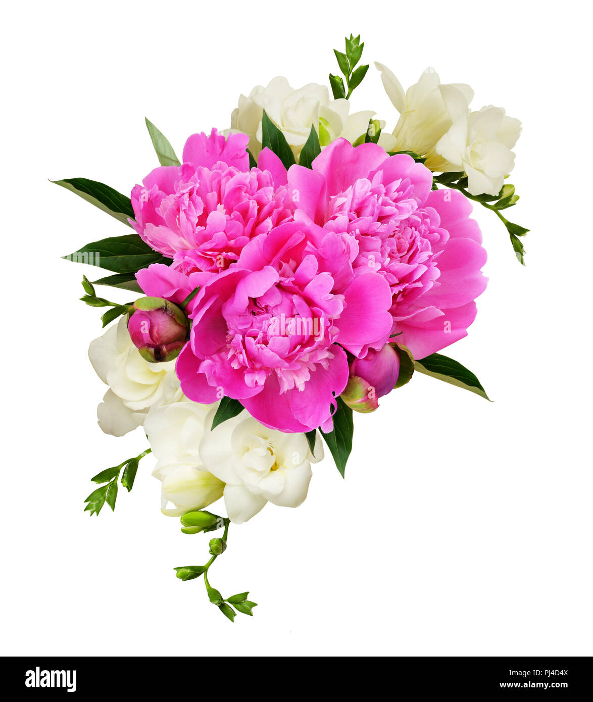 White freesia flowers and pink peonies in a beautiful composition ...