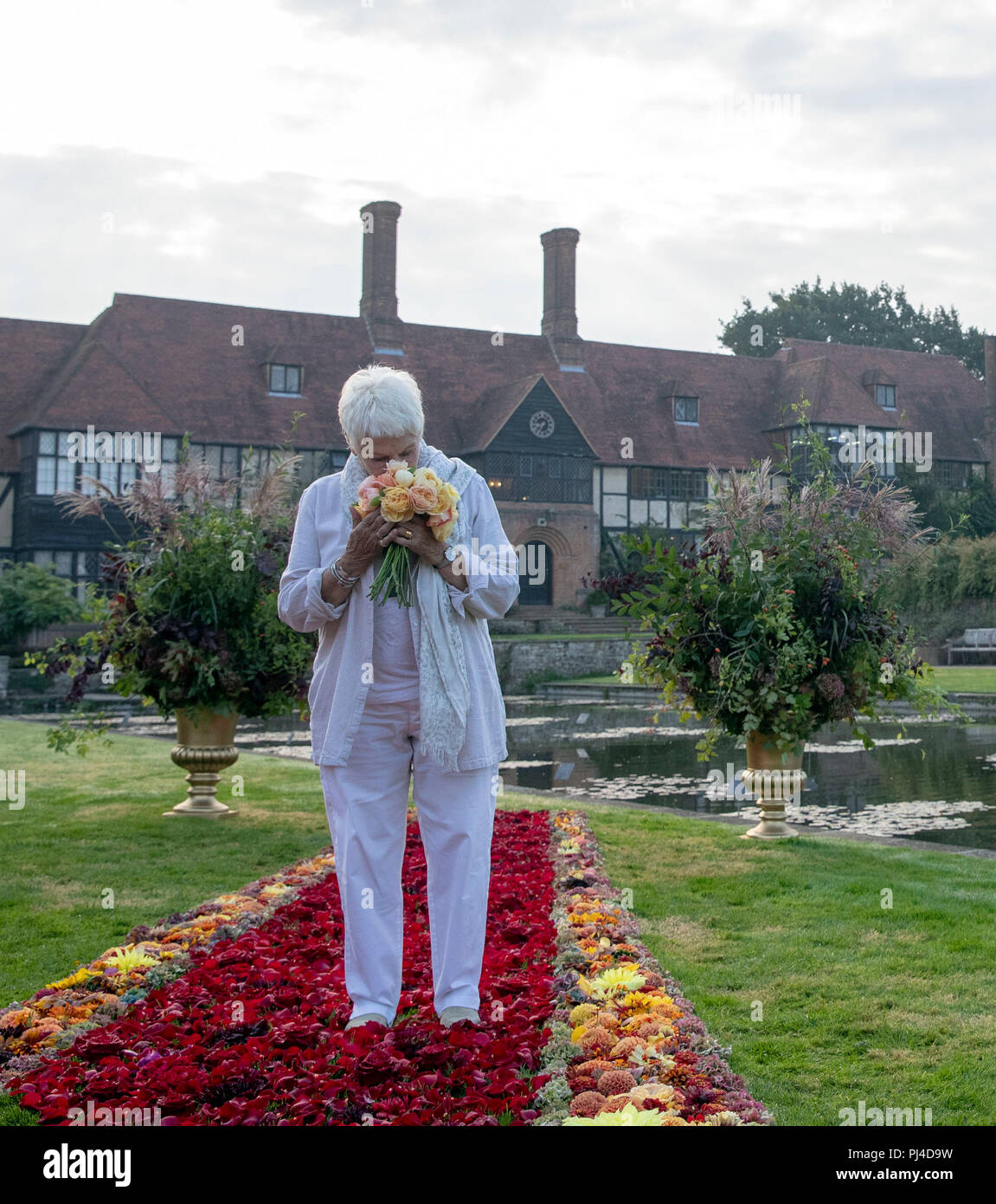 Dame Judi Dench stands on a 'red carpet' of flowers before opening the ...