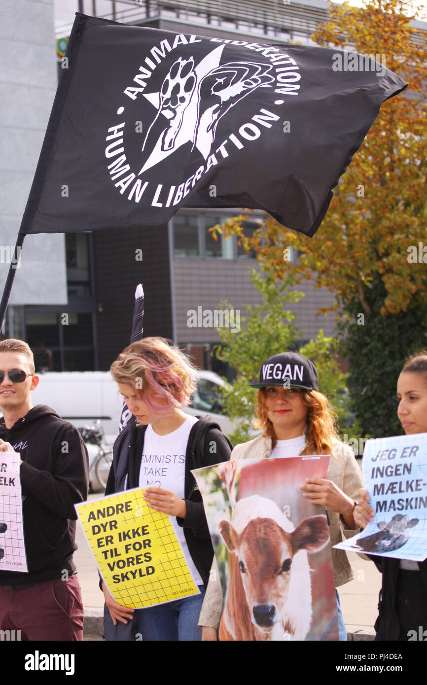 Politics protesting demonstrating animals hi-res stock photography and ...
