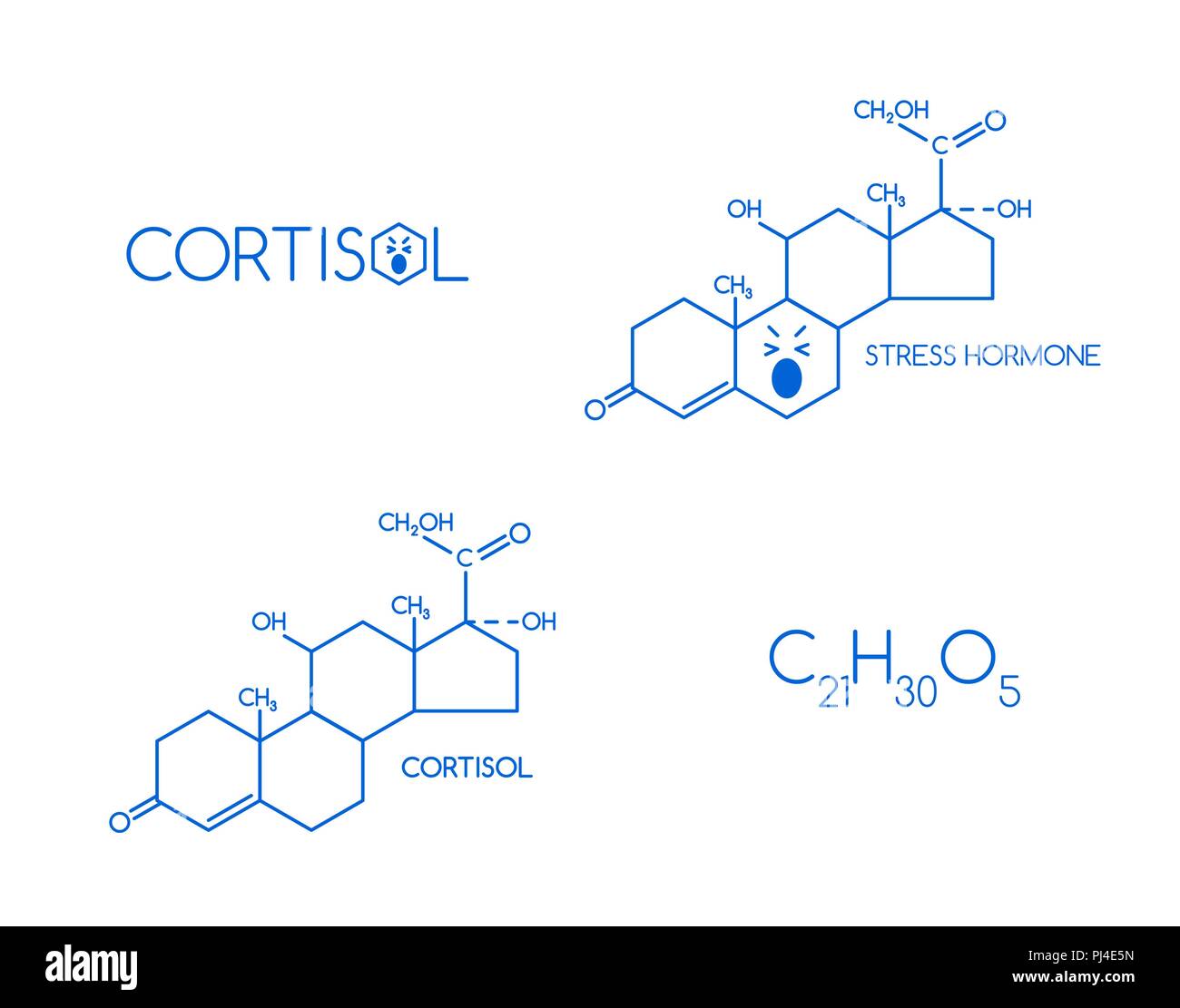 Cortisol hi-res stock photography and images - Alamy