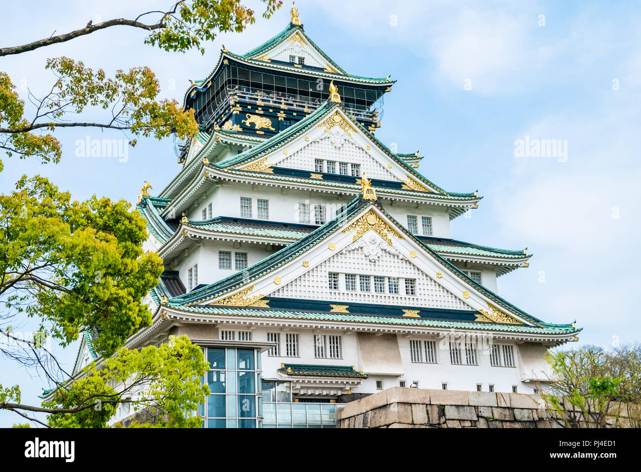 the historical and beautiful view of osaka castle with trees and blue ...