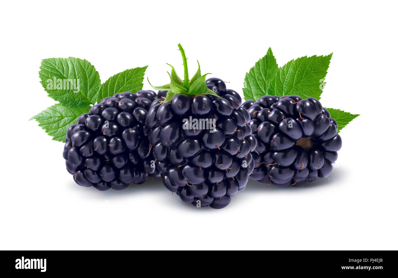 Black raspberries hi-res stock photography and images - Alamy