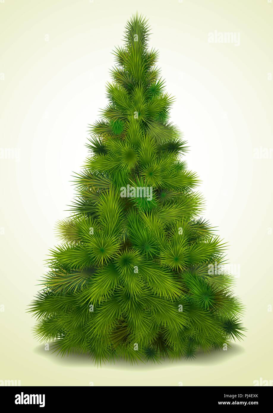 Vector illustration of Christmas tree Stock Vector Image & Art - Alamy