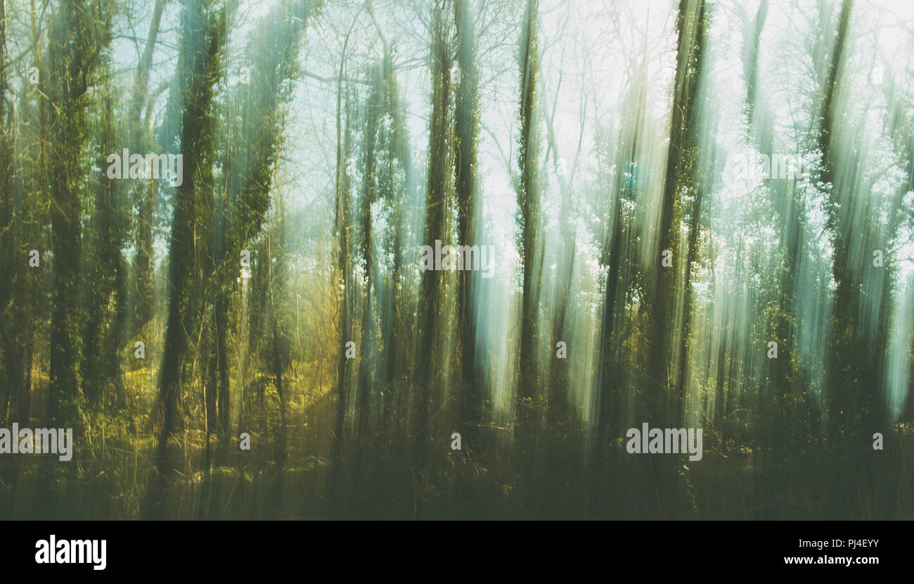 Blurred vision hi-res stock photography and images - Alamy