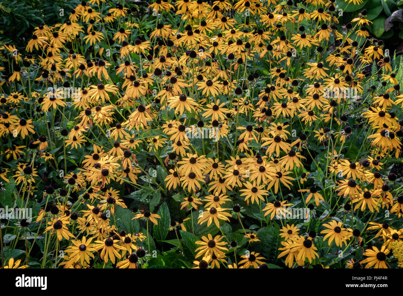 Flowers on Graasten Castle summer residence of the royal Danish family ...