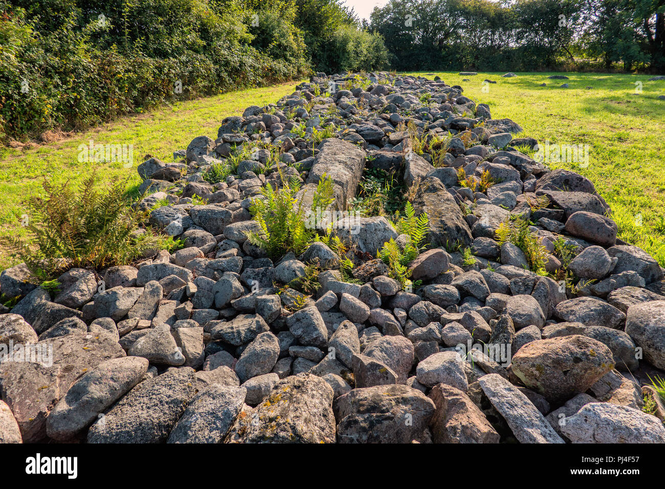 Nine Stone Close Stone Circle High Resolution Stock Photography and ...