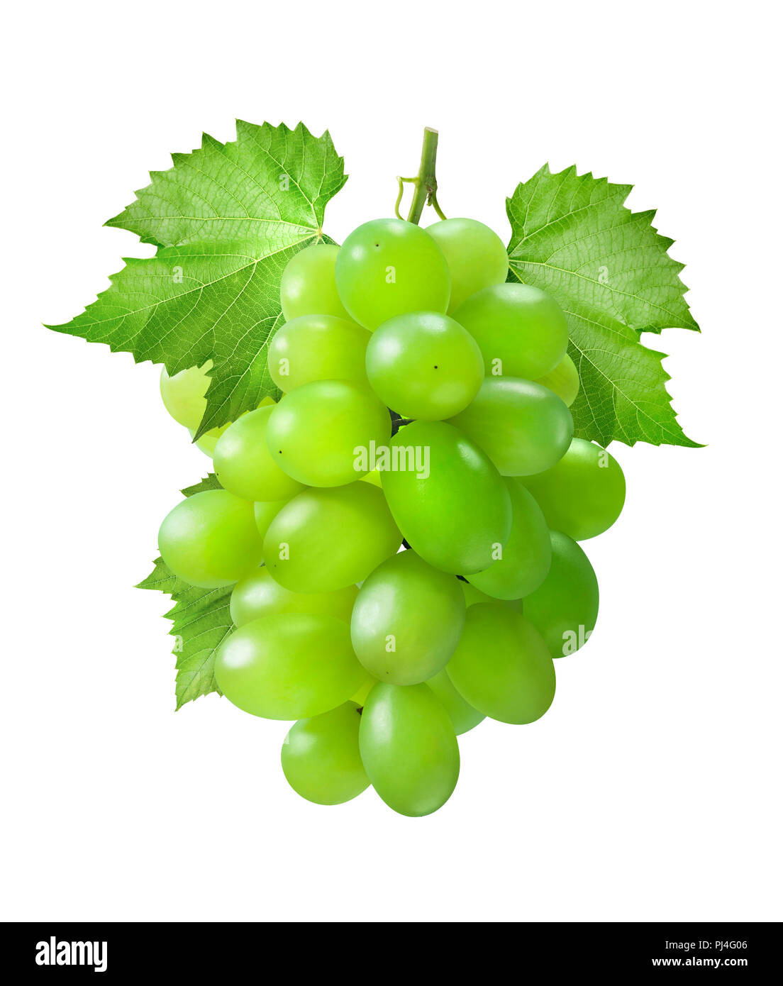Green grapes vertical with leaves isolated on white background as ...