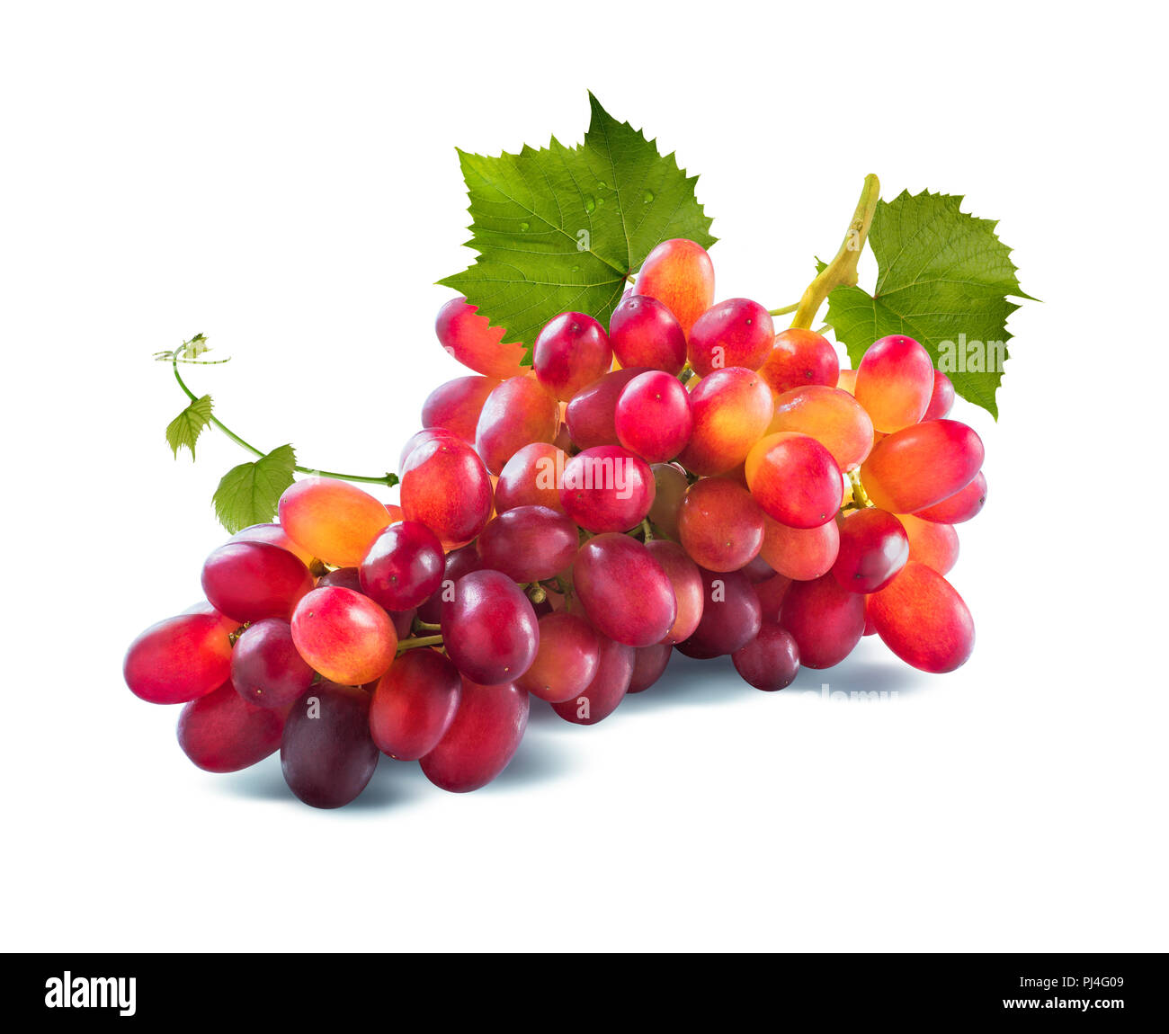 Red and green grapes and leaves hi-res stock photography and images - Alamy