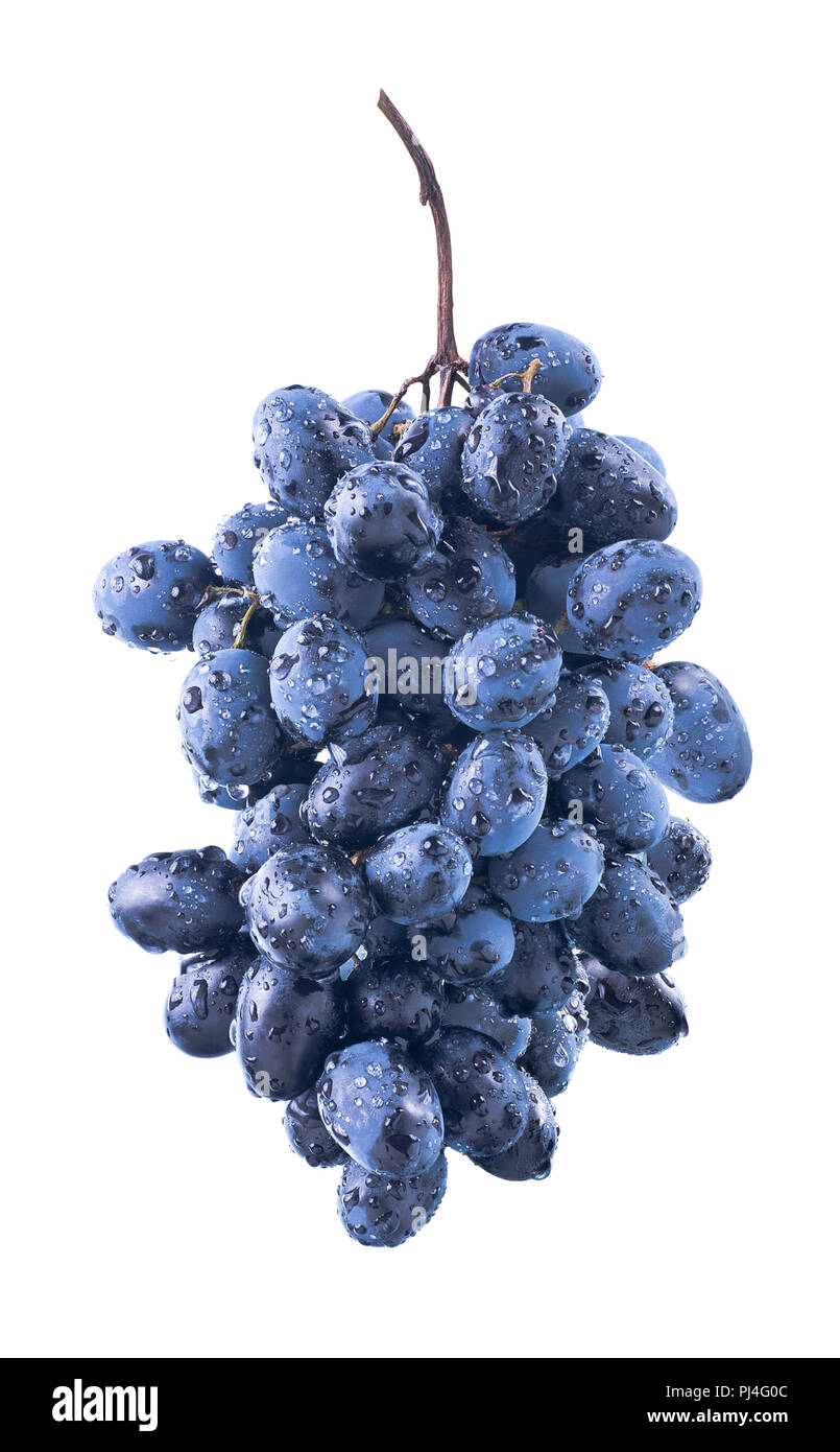 Dark blue grapes hi-res stock photography and images - Alamy