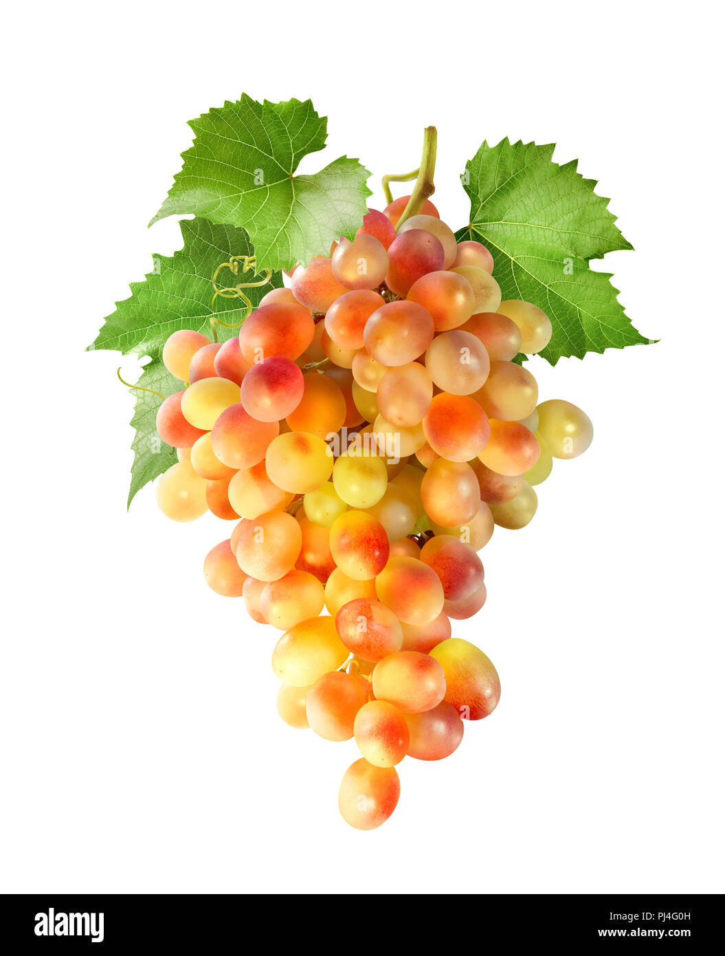 Red blue yellow green purple hi-res stock photography and images - Alamy
