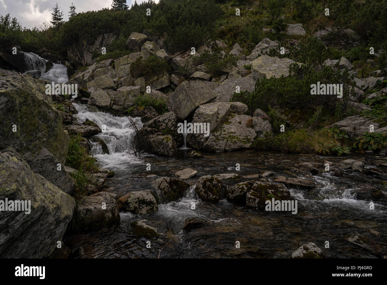 Hikers enthusiasts reach Parangul Mare, 2519m altitude, during a 3 days ...