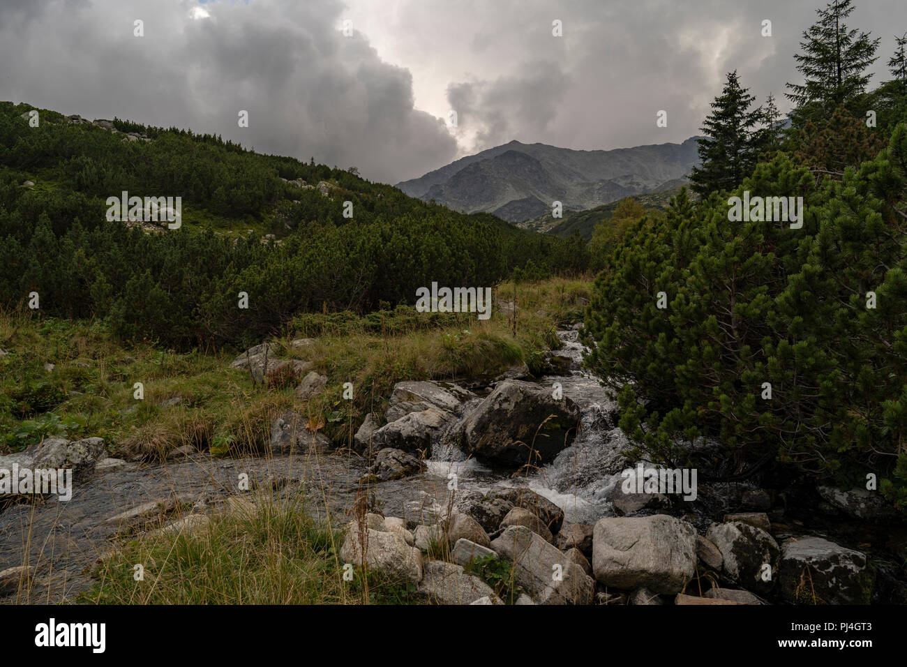 Parangul mare hi-res stock photography and images - Alamy