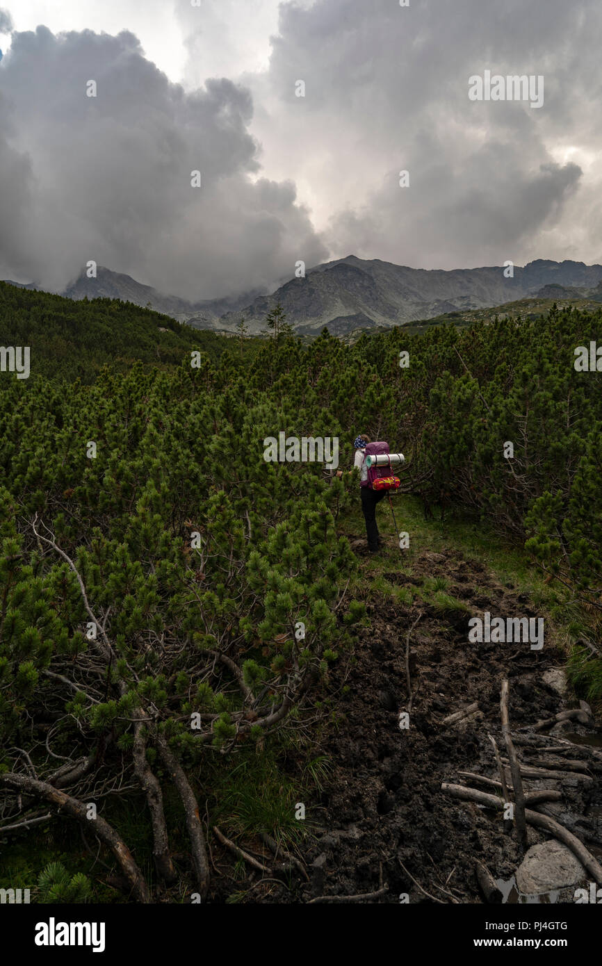 Parangul mare hi-res stock photography and images - Alamy