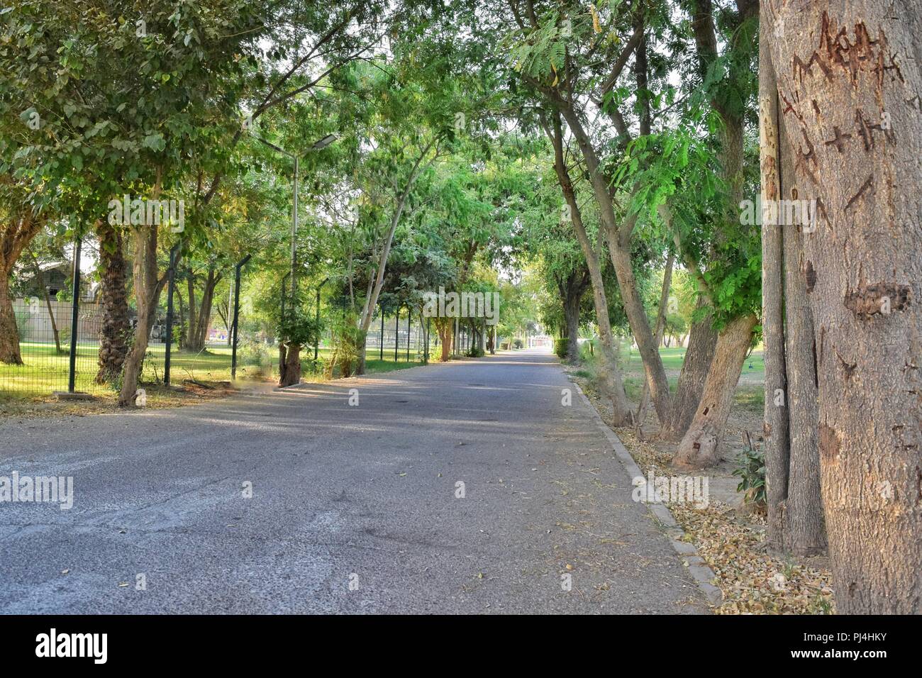 Soil in road hi-res stock photography and images - Alamy