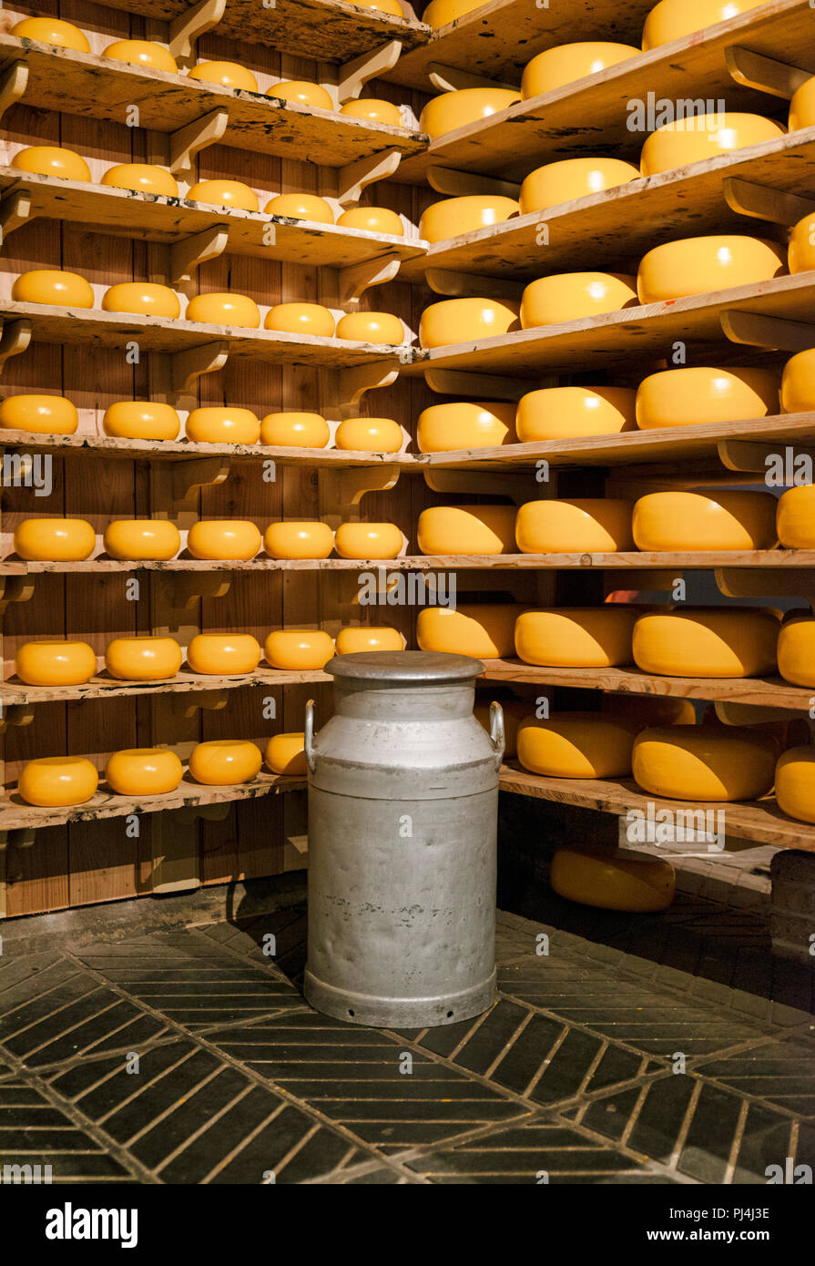 Gouda cheese shelves hi-res stock photography and images - Alamy