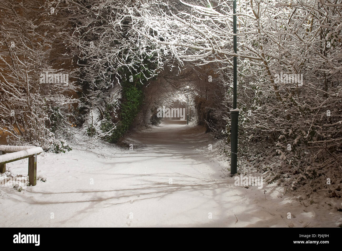 Nighttime, winter scene in rural footpath Stock Photo - Alamy