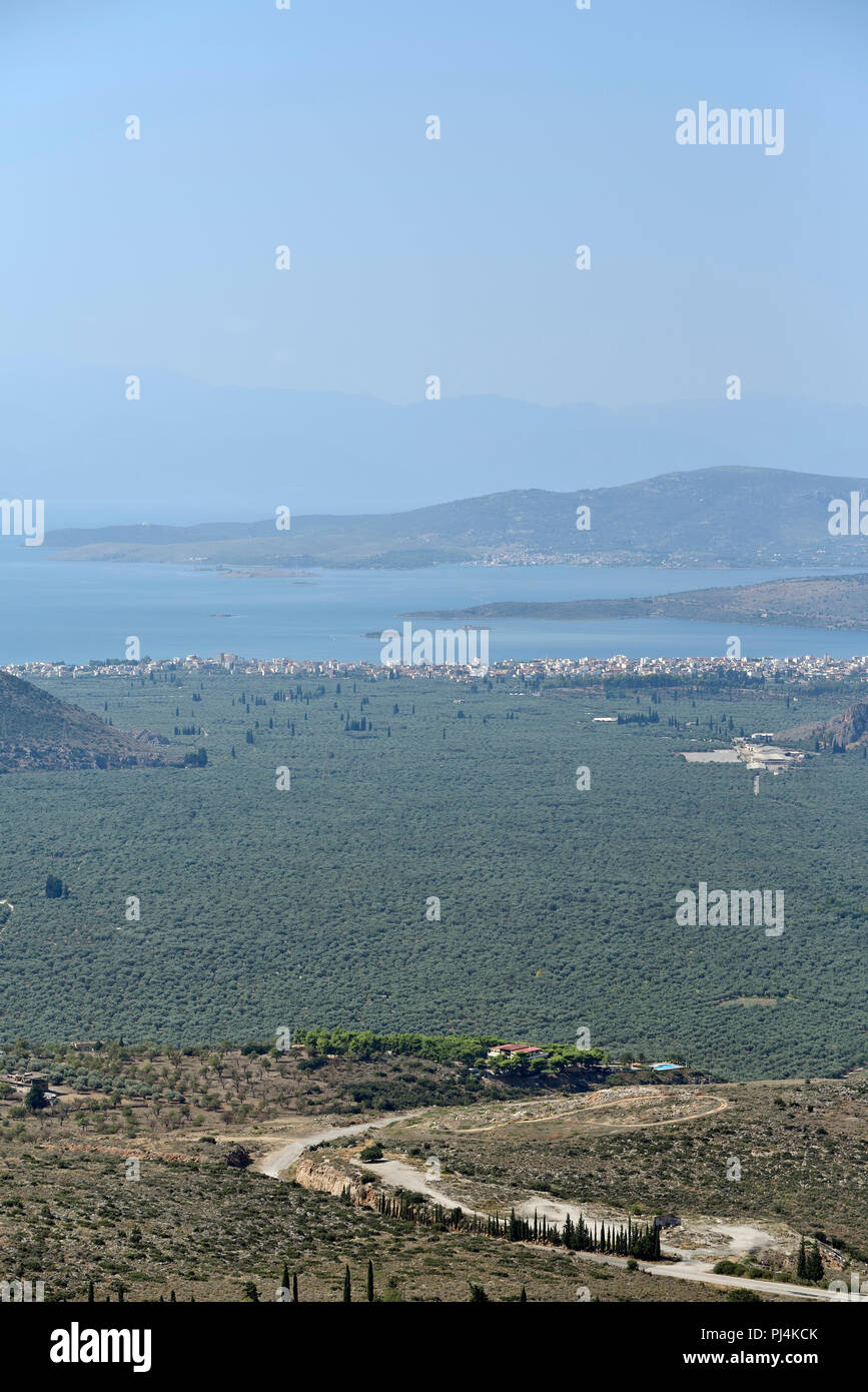 Itea hi-res stock photography and images - Alamy