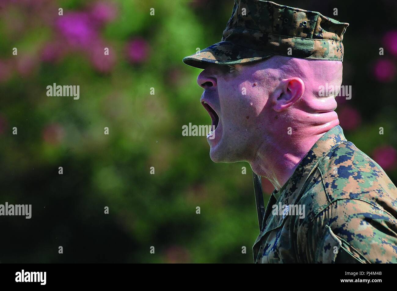 Staff Sgt. Joshua Higgins, Marine Corps Detachment, belts out a command ...