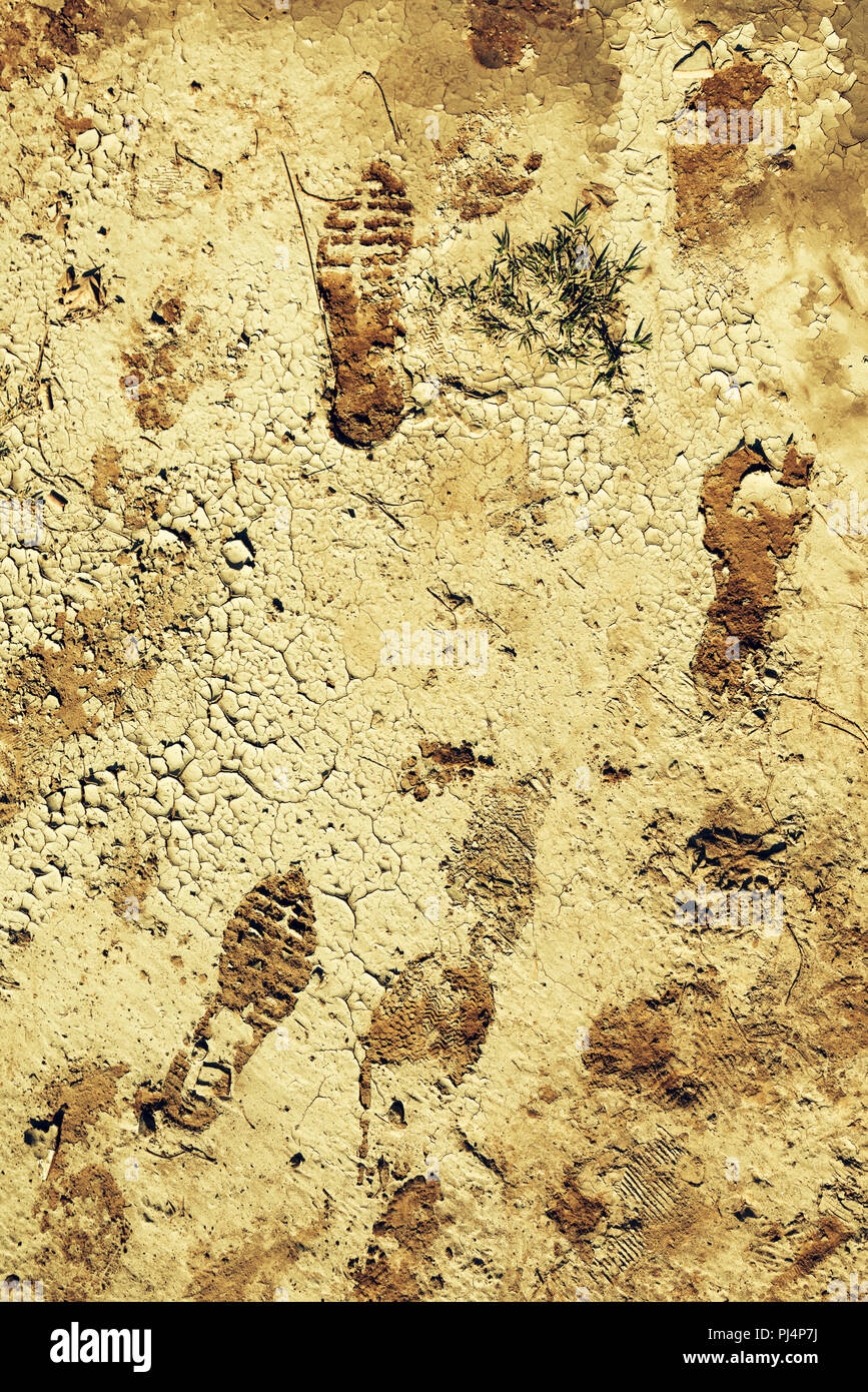 Human shoeprint or footprint on dry mudcrack ground surface Stock Photo ...