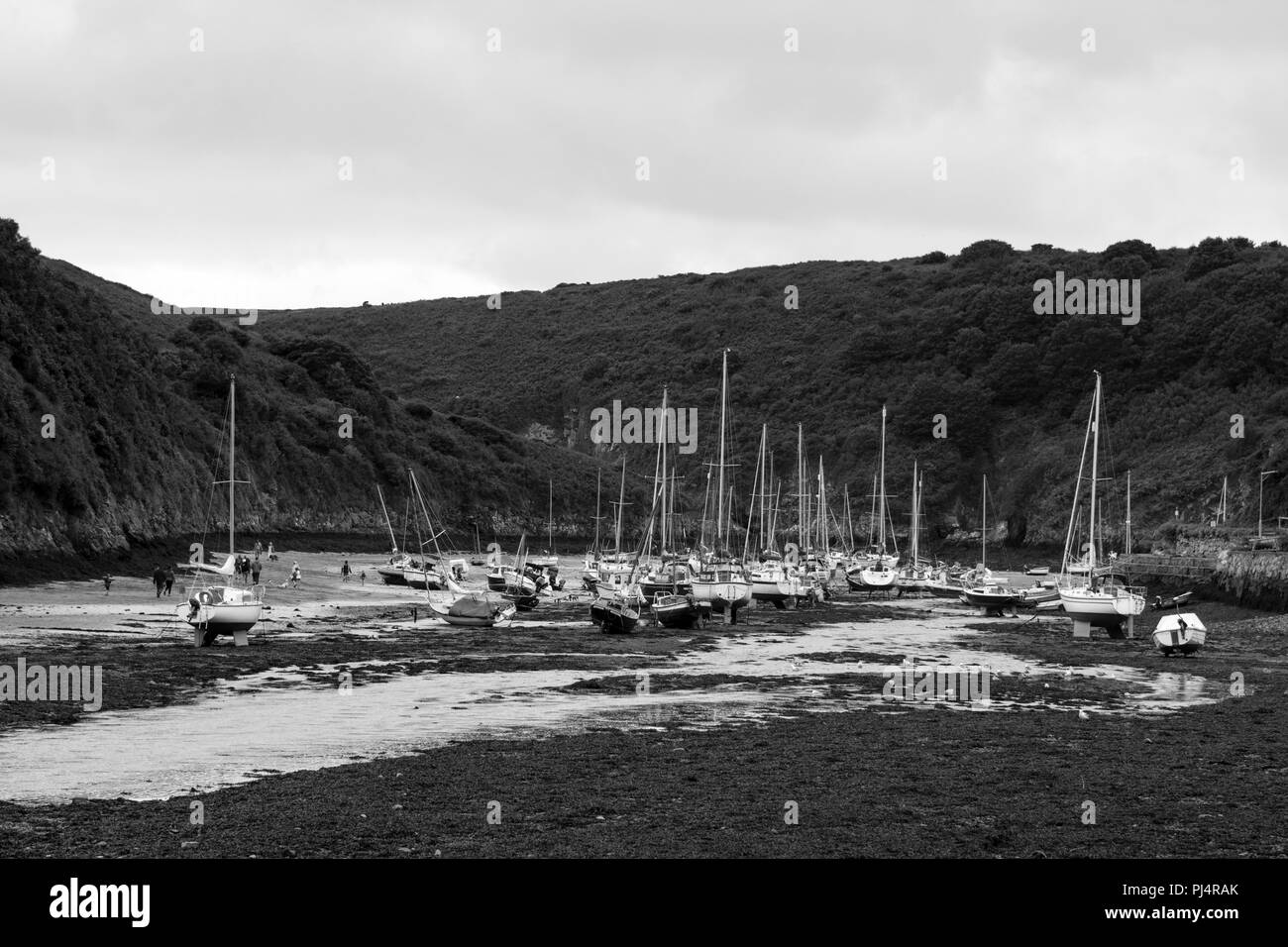 Solva Black and White Stock Photos & Images - Alamy
