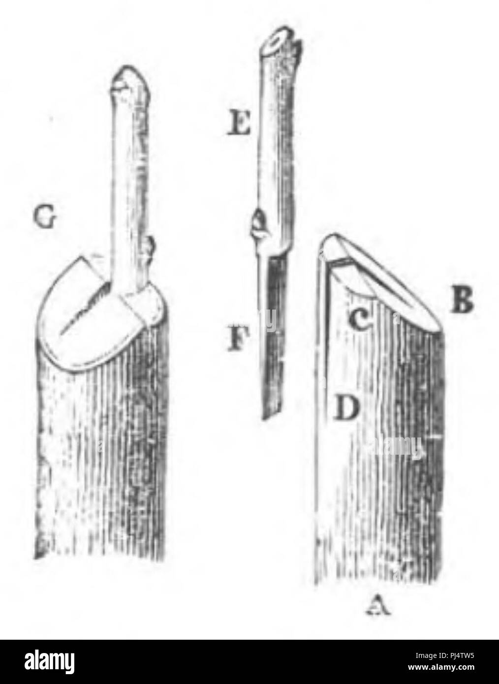 Greffer Cut Out Stock Images & Pictures - Alamy