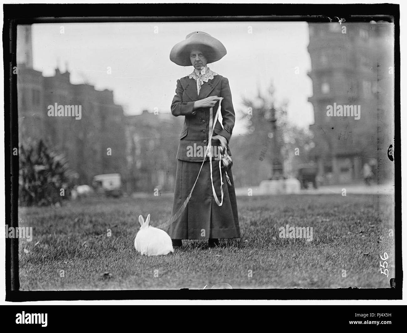 Picture rabbit Black and White Stock Photos & Images - Alamy