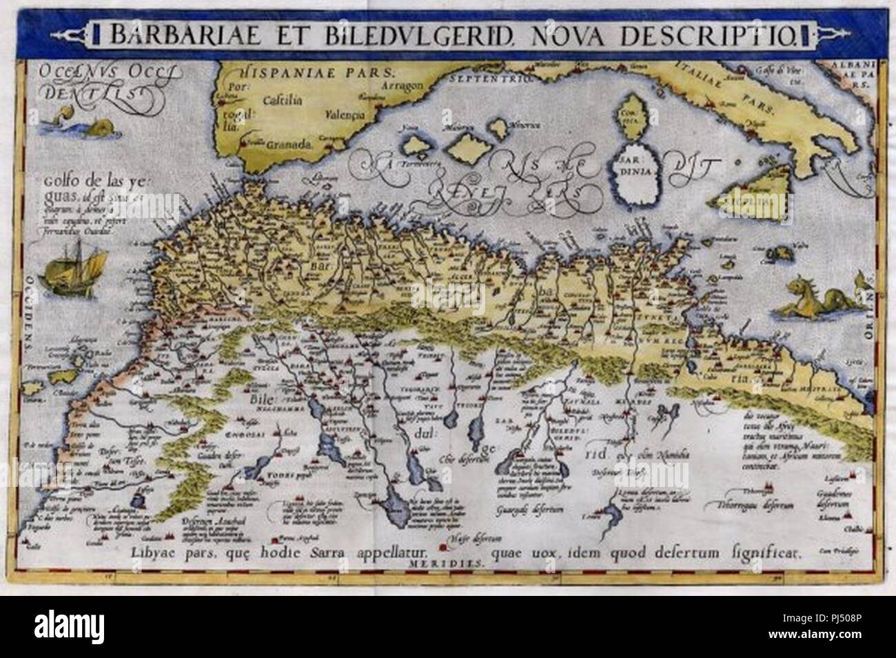 Biledulgerid hi-res stock photography and images - Alamy