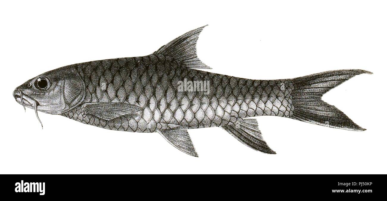 138 Cut Out Stock Images & Pictures - Alamy