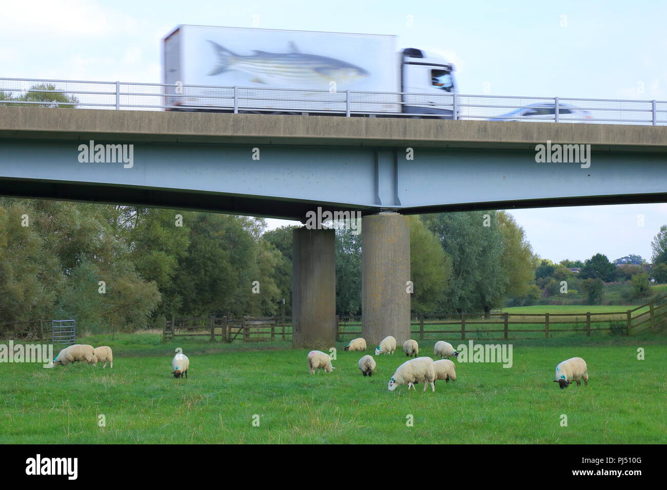 Truck passing bridge over the farmland in Axe Valley, Devon Stock Photo ...
