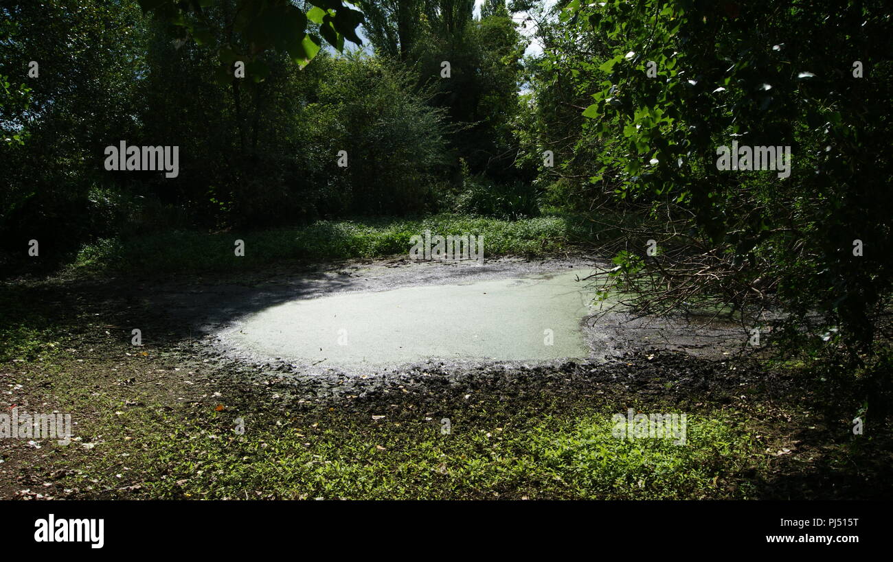 Newbold Comyn country park, UK Stock Photo - Alamy