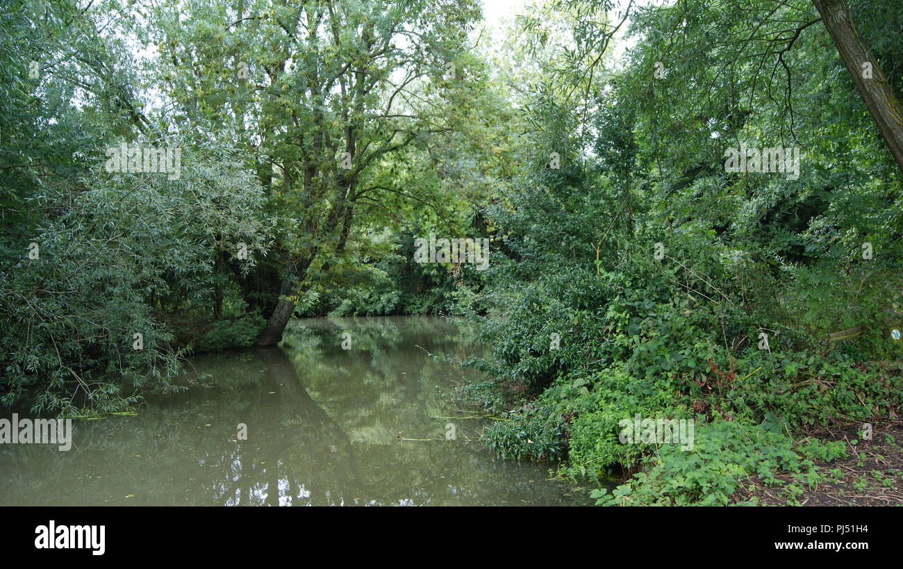 River Leam, Warwickshire Stock Photo - Alamy