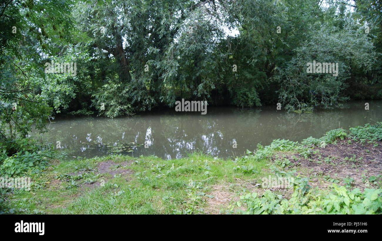 River Leam, Warwickshire Stock Photo - Alamy