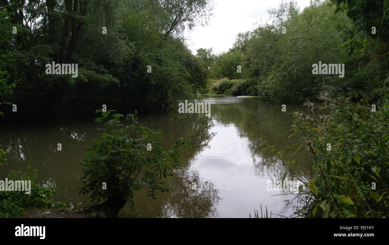 River Leam, Warwickshire Stock Photo - Alamy