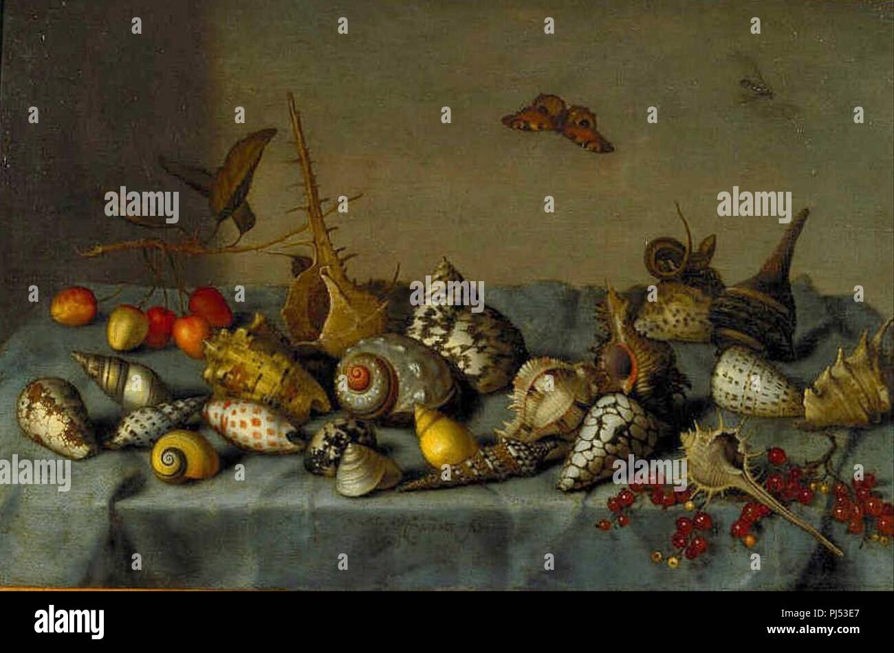 Bartholomeus van der Ast still life with shells Stock Photo - Alamy