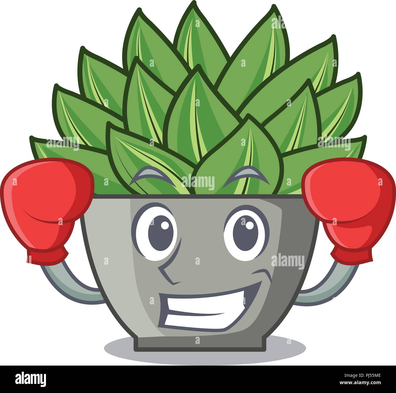 Boxing character cartoon pot plant echeveria cactus Stock Vector Image ...