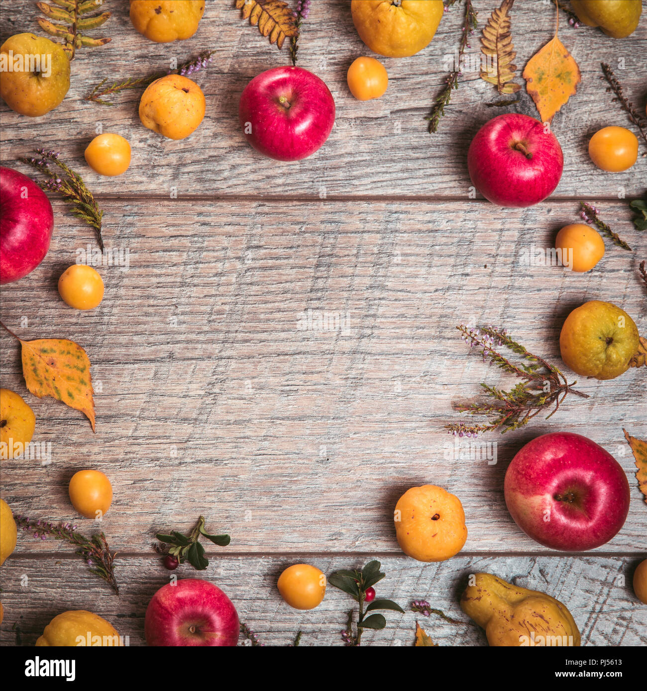 Yellow and red apples apples on the old wooden table. autumn background ...