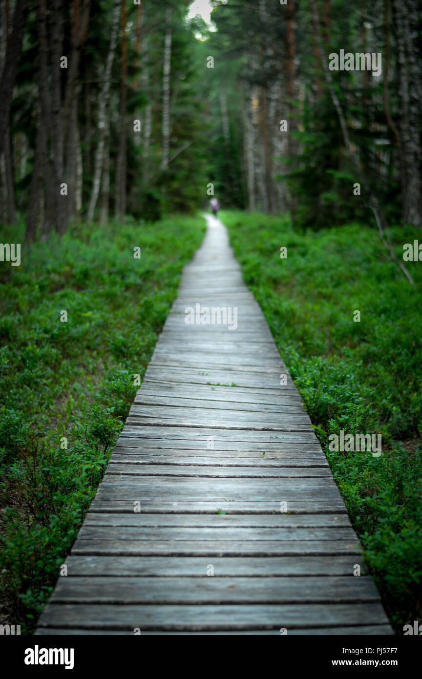 Wooden path in the woods Stock Photo - Alamy
